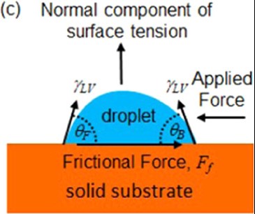 Liquid-on-Solid Amontons' Laws - Nature's Raincoats